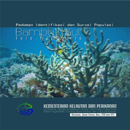 Pedoman Survei Bambu Laut (Isis hippuris) | PDF