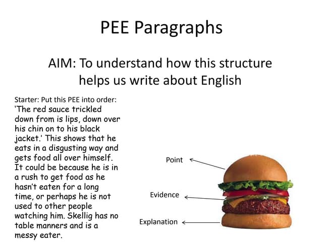 Writing a teel paragraph for beginners | PPTX