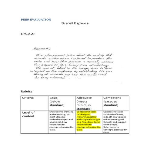 Peer evaluation. | PDF