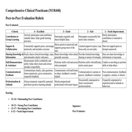 Peer learning rubric for nursing students.docx