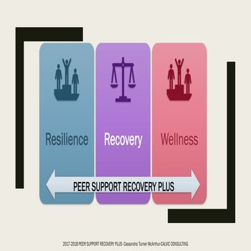 Peer Support Recovery Plus 2017-2018 | PDF | Physical Therapy | Wellness