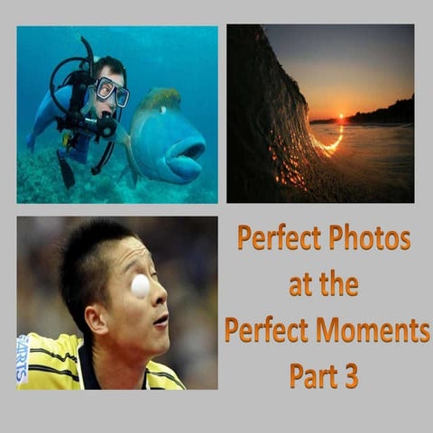 Perfect Photos at the Perfect Moments Part 3 | PPTX