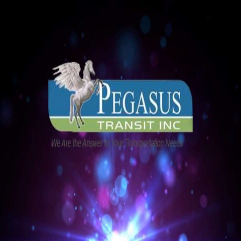 Pegasus Transit Inc | PPT
