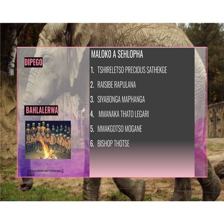 BATLOKWA_2[11].pptx AFT 121 PRESENTATION | PPTX