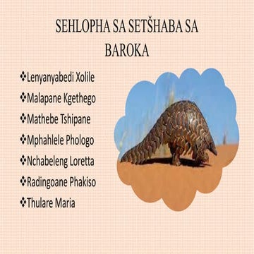 PEGO_SETSHABA_SA_BAROKA_(1)_FINAL_ TUESDAY 1.pptx