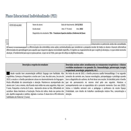 Modelo de PEI - Plano Educacional Individualizado.pdf
