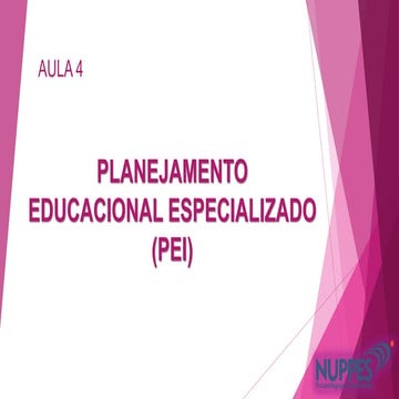 Modelo de PEI - Plano Educacional Individualizado.pdf