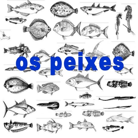 Peixes | PPT
