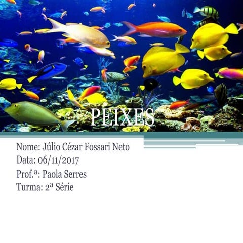 Peixes | PPTX