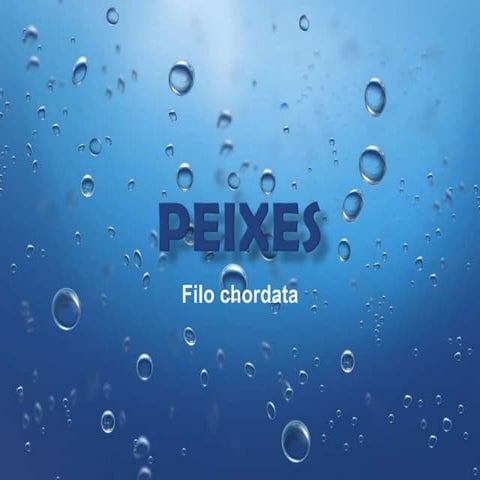 Classe: Peixes. Características Gerais. | PPTX