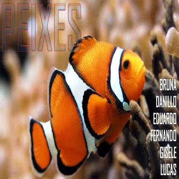 Peixes - BIOLOGIA | PPTX