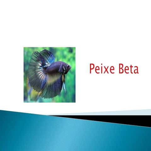 Peixes betas | PPTX