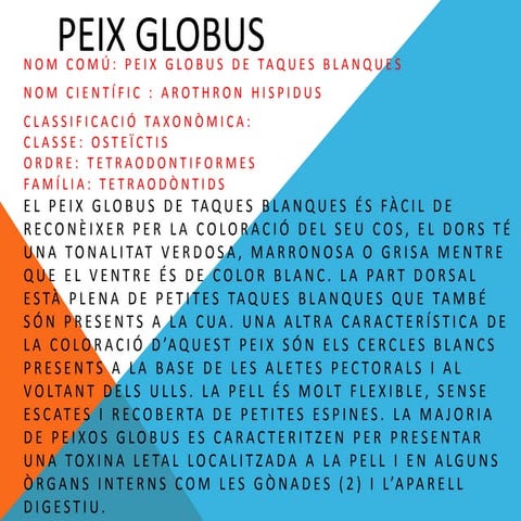 Peix globus | PPT