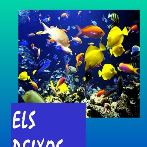 Peixos | PPT