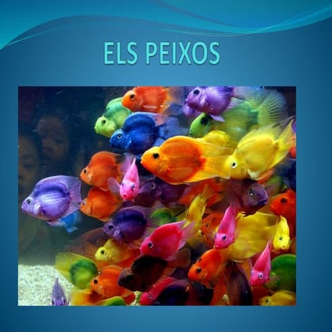 Peixos | PPTX