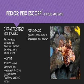 Peixos peix escorpí | PPTX