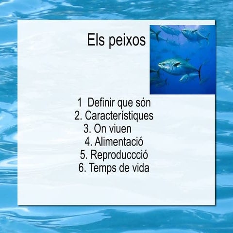 Peixos 11 | PPT