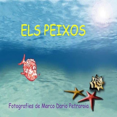 Peixos (generalitats) | PPTX