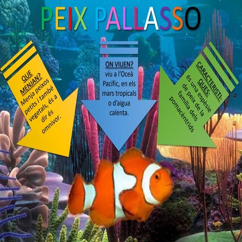 Peix pallasso | PPTX