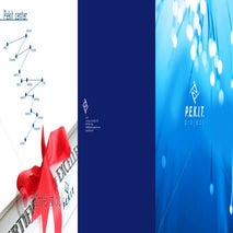 Pekit brochure | PDF