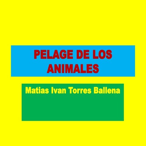 PELAGE DE LOS ANIMALES para el cuarto grado de primaria.pptx