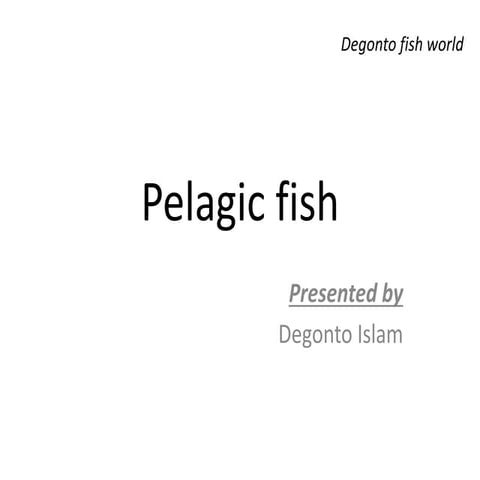 Pelagic fish | PPT