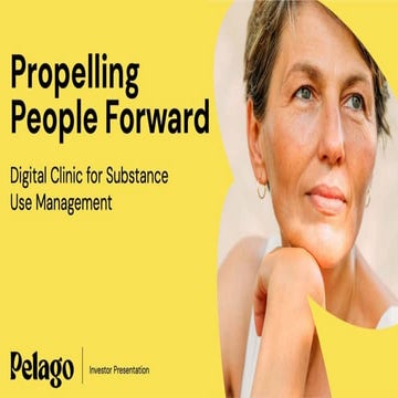 Pelago's pitch deck for their Series C funding round, valued at $58 ...
