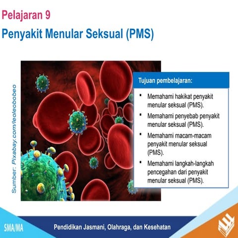 Pelajaran 9 Penyakit Menular Seksual.pptx