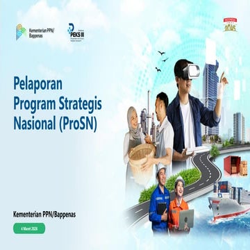 Comprehensive Guide to National Strategic Program Reporting and ...