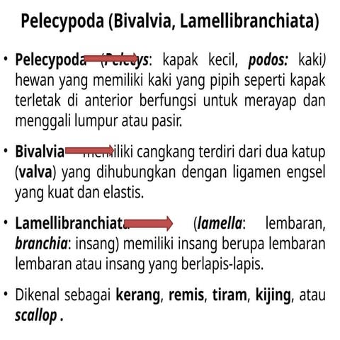 Pelecypoda, scaphopoda, gastropodaa.pptx