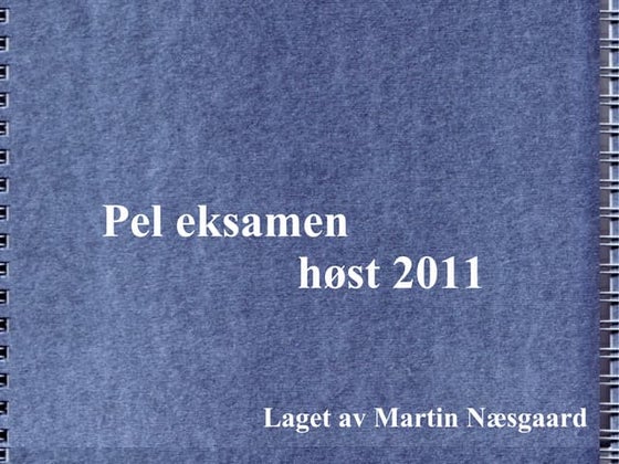 Pedagogikk Eksamen | PPT