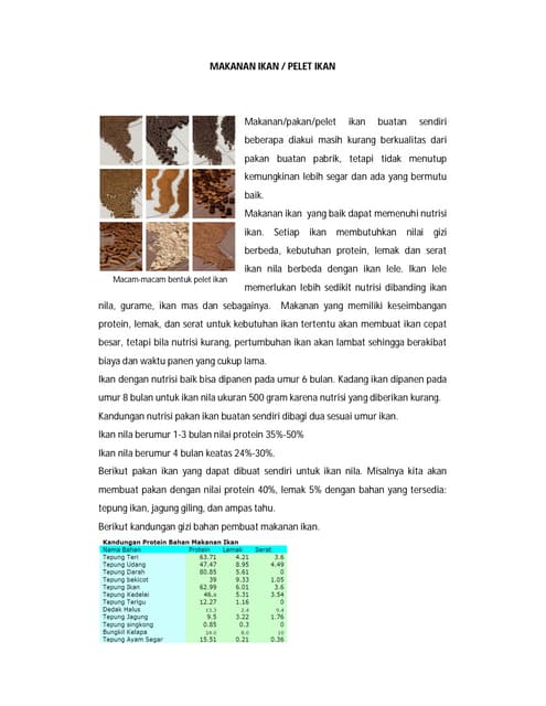 Asam Amino Maggot.pdf