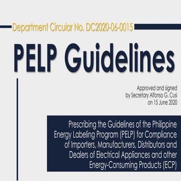 PELP IG Presentation Version 2 Final 5.25.21.pdf