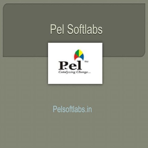 Pel Softlabs Pvt Ltd | PPTX
