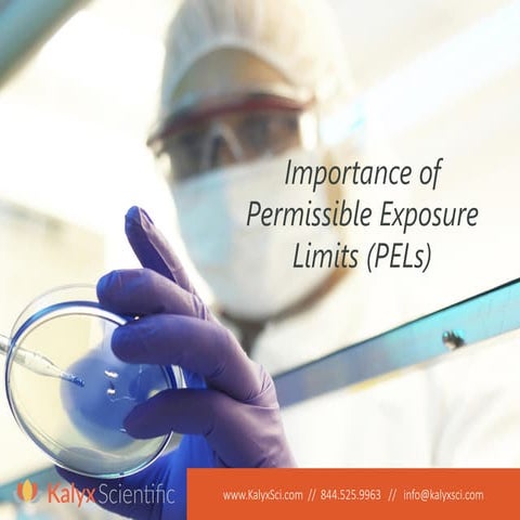 Importance of Permissible Exposure Limits (PELs) | PDF