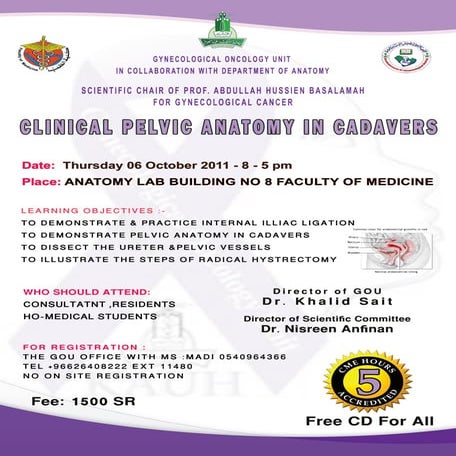 Pelvic anatomy poster | PDF