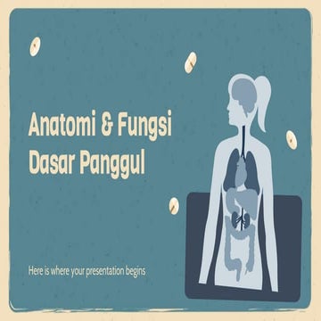 anatomi dan funsi dasar panggul | PPTX