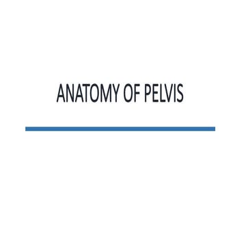 pelvicanatomy-Lecture №1.pptx. hdyktftvu yufoy7 iugfyko | PPT