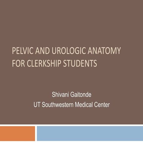 Pelvic Anatomy Slides FINAL.ppt