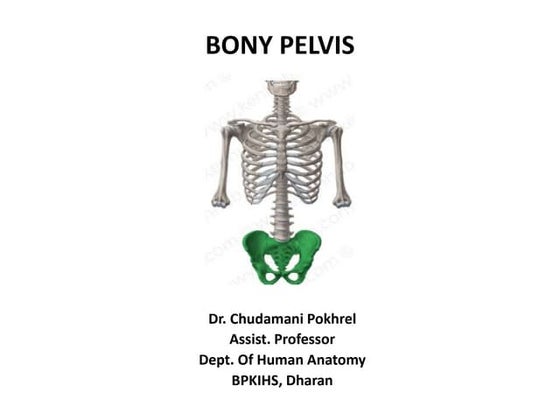 Pelvimetry Ppt