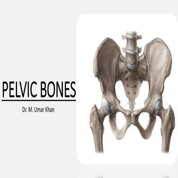 ANATOMY OF PELVIC BONES with detail.pptx