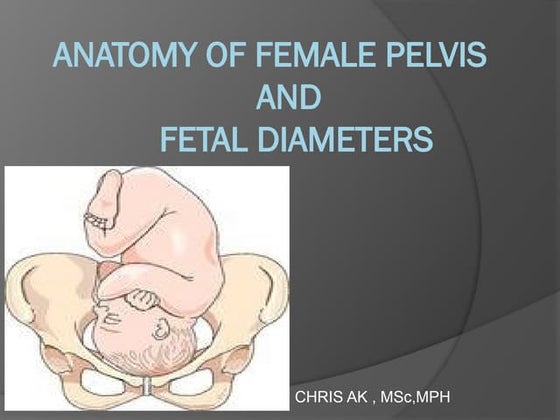Obstetrical pelvic measurements | PPT