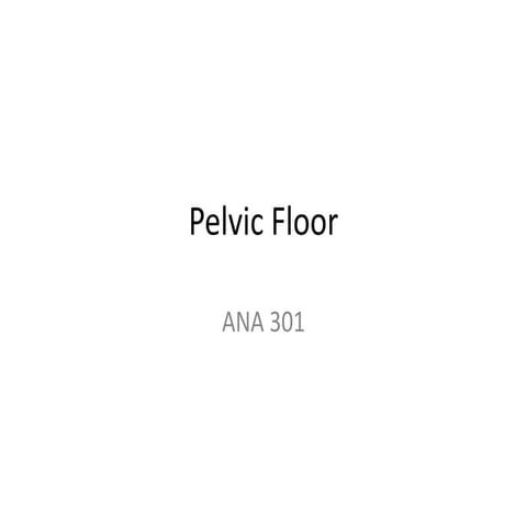 Pelvic Floor.pptx