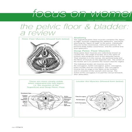 Pelvic floor rehabilitation | PPTX