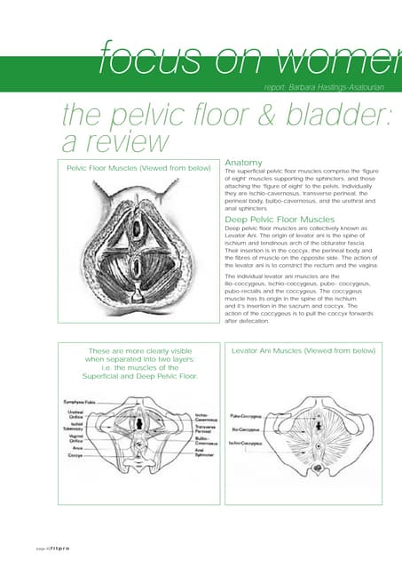 5 pelvic floor exercises for women | PPT