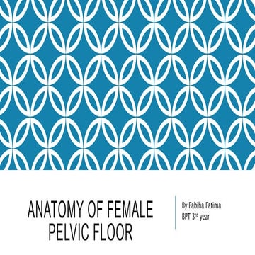 Pelvic Floor Anatomy and Physiotherapy management | PPTX