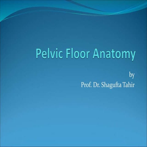 Pelvic Floor Anatomy | PPT