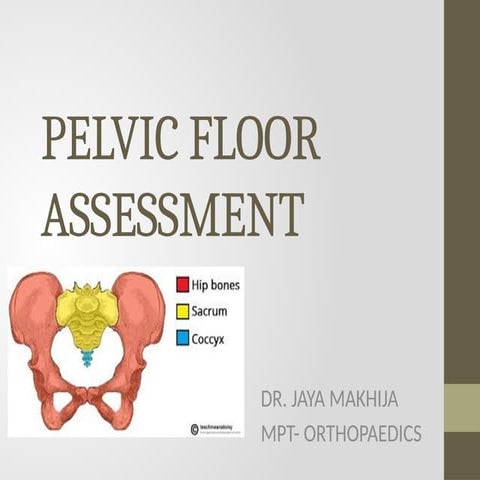 PELVIC FLOOR ASSESSMENT physiotherapy... | PPTX