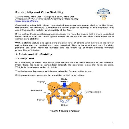 Pelvic, Hip and Core Stability | PDF