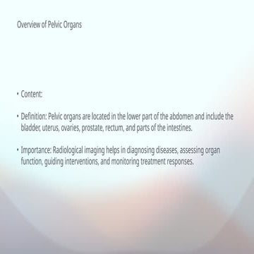 Pelvic organs ppt by asad .pptx.pptx for student | PPTX